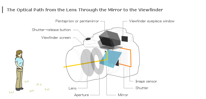 Digital Camera Basics - Thinker’s Cloud